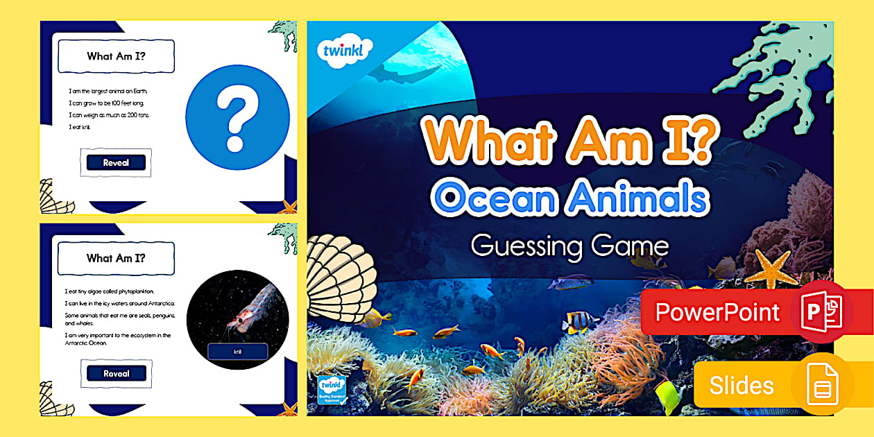 Engaging Ocean Animal Game for K-2nd Grade | Twinkl USA