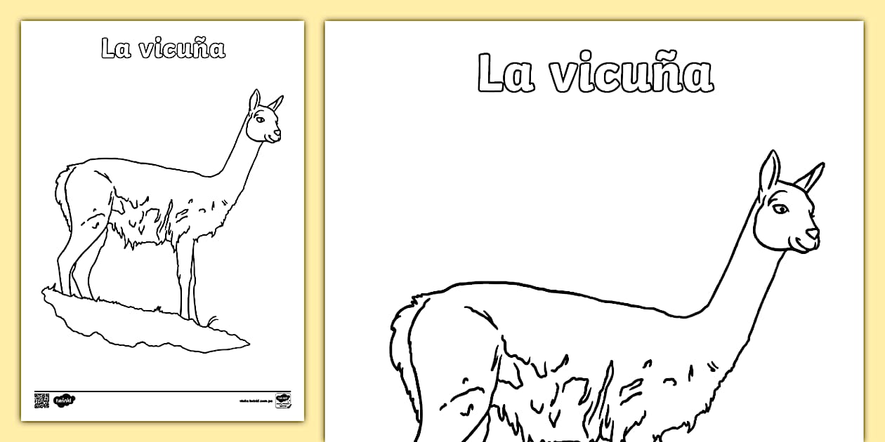 Hoja de colorear: Vicuña (teacher made) - Twinkl