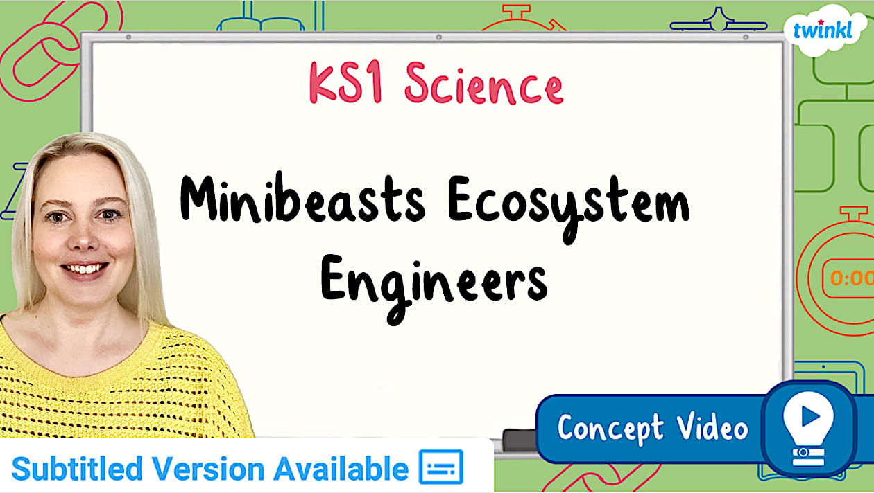 Minibeasts Ecosystem Engineers | KS1 Science Concept Video