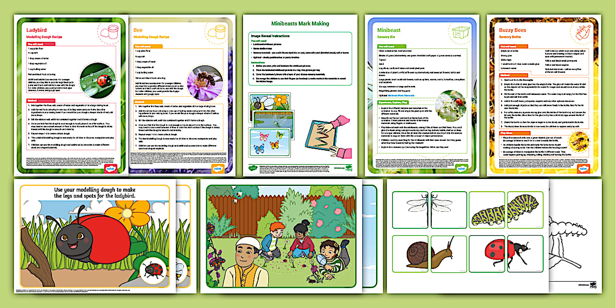 * NEW * Kindergarten Minibeasts Resource Pack (Ages 2-3) | Twinkl
