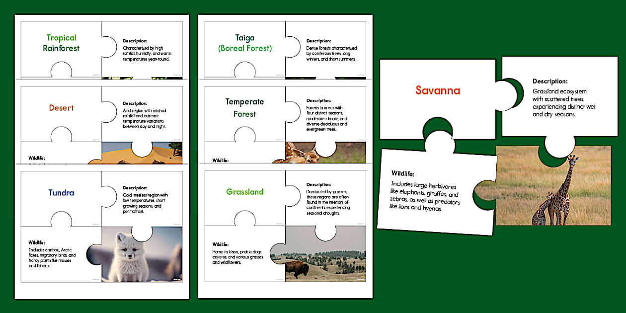 Biome Matching Activity for K-2nd Grade (professor feito)