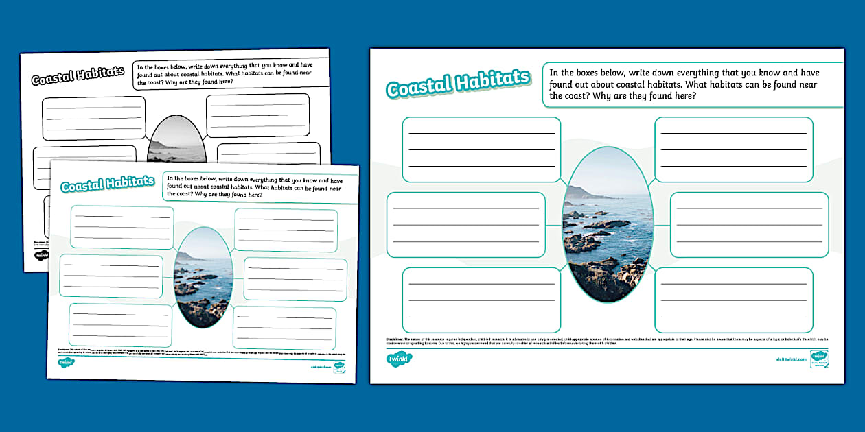 Coastal Habitats Mind Map (teacher made) - Twinkl