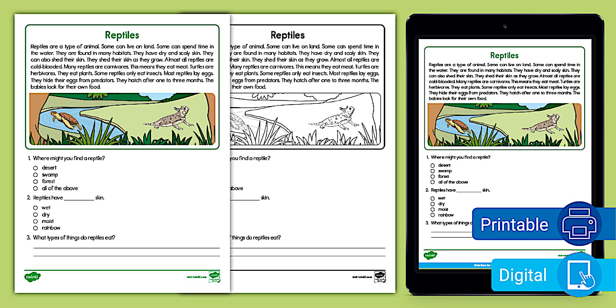 First Grade Reptiles Reading Passage Comprehension Activity
