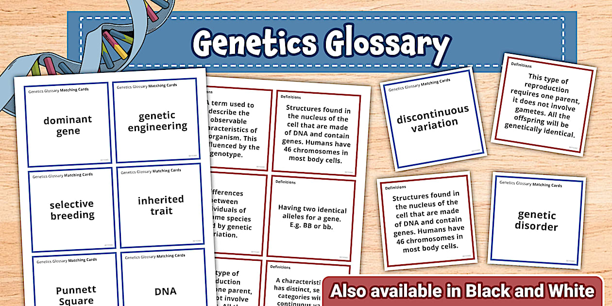 Genetics Glossary Matching Cards (teacher made) - Twinkl