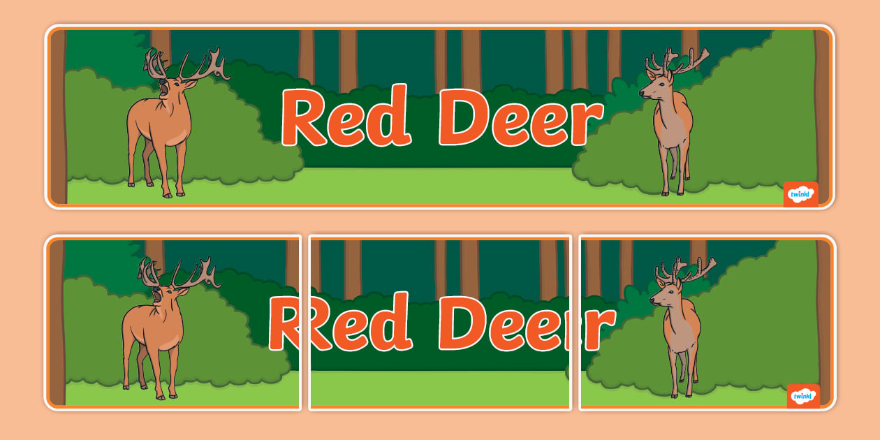 Red Deer Display Banner (Teacher-Made) - Twinkl