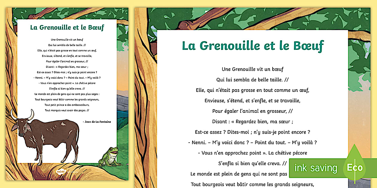 La Grenouille et le Boeuf Worksheet / Worksheet - Twinkl