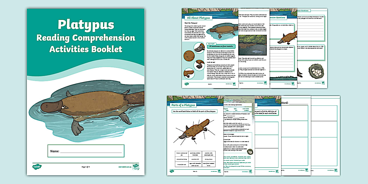 Platypus Behavioural Adaptations Reading Comprehension