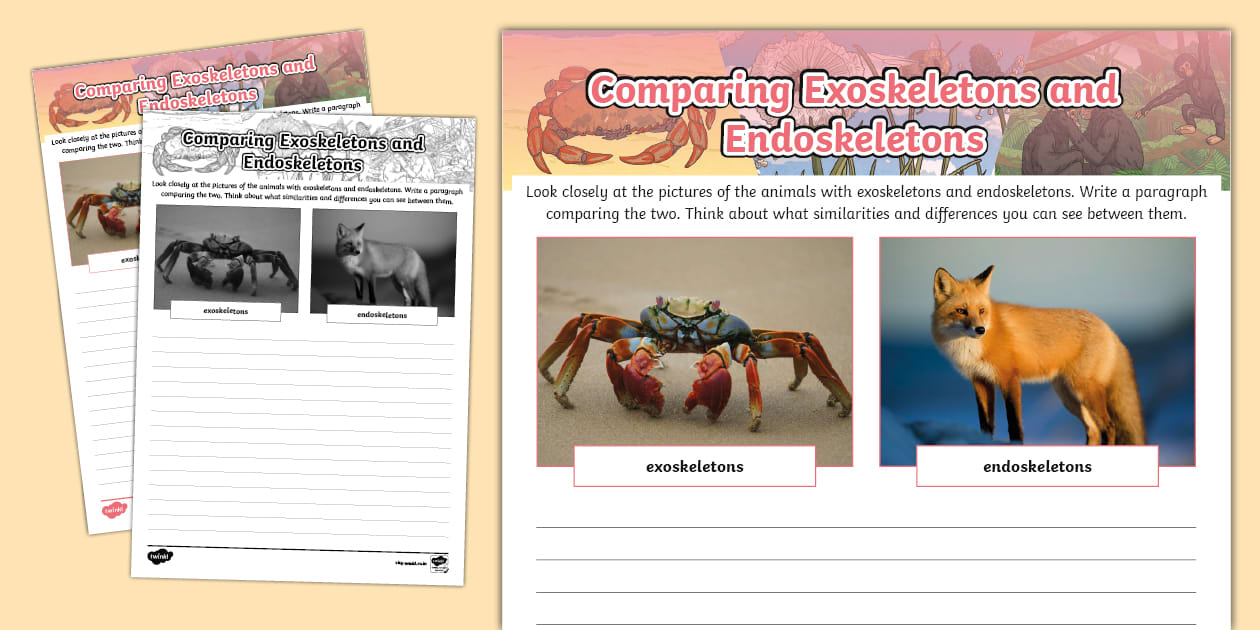 * NEW * Comparing Exoskeletons and Endoskeletons Worksheet