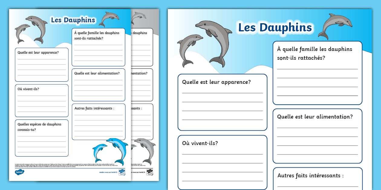 Fiche d'informations : Les Dauphins (teacher made) - Twinkl