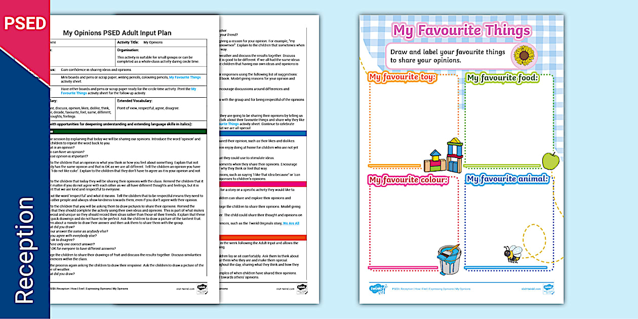 EYFS PSED My Opinions Adult Input Plan and Resource Pack