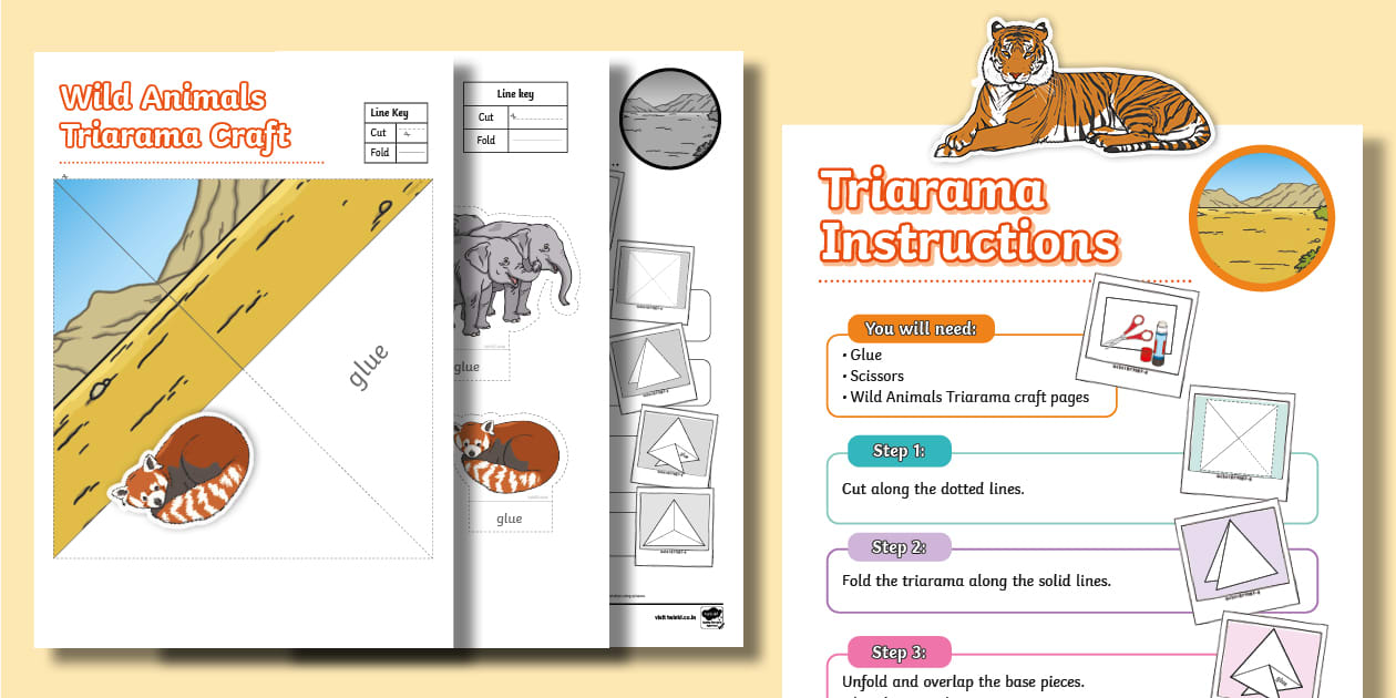 Wild Animals Triarama (teacher made) - Twinkl