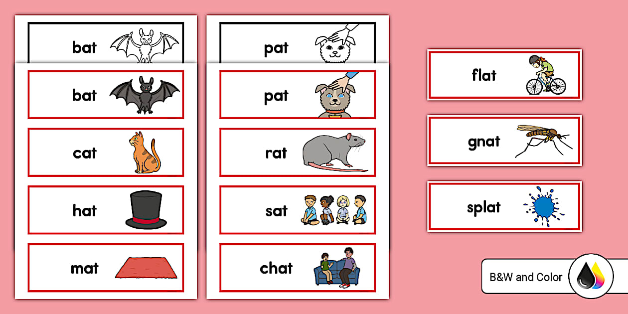 -at Family Word Cards (teacher made) - Twinkl