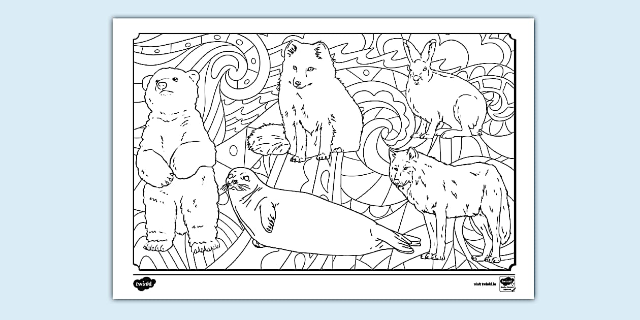 Polar Animals Mindfulness Colouring Page - Twinkl