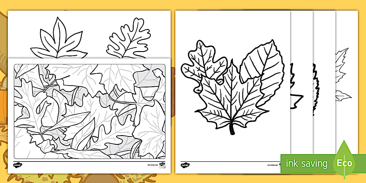 Autumn leaves colouring pages | Twinkl