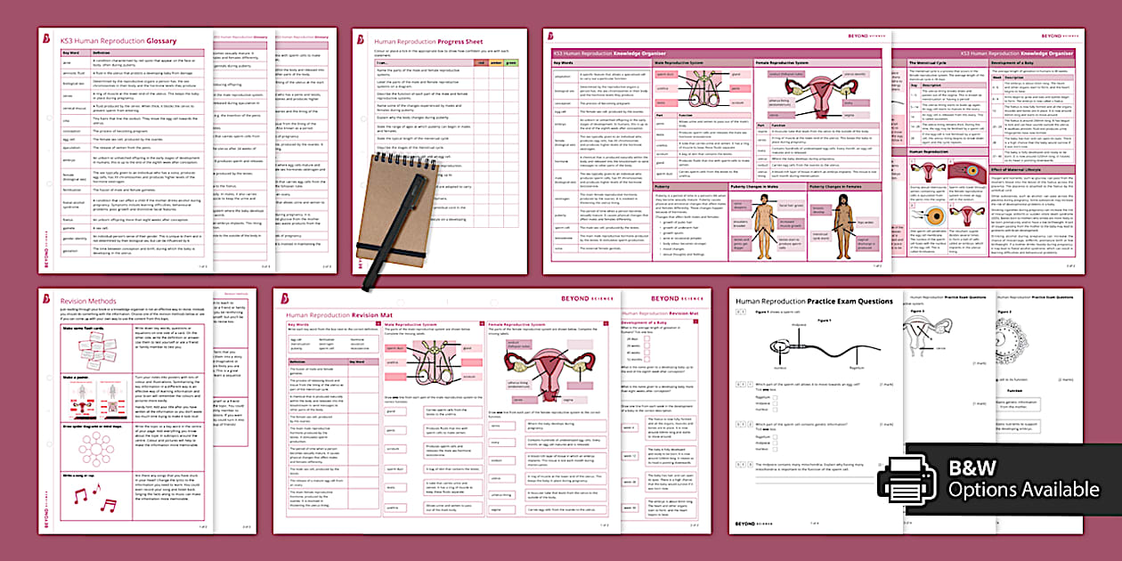 KS3 Human Reproduction Revision Pack | Biology | Beyond