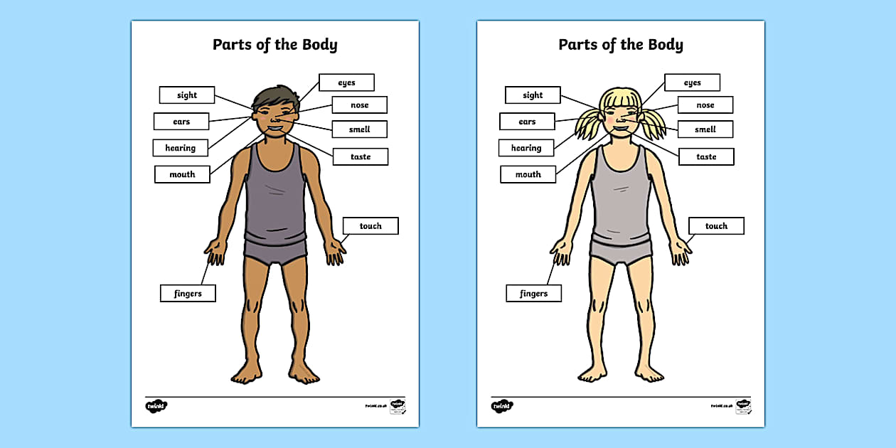 Black and White Parts of the Body Senses Labelling Worksheet