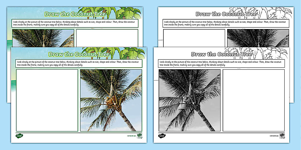 Draw the Coconut Tree Worksheet - Twinkl Art (teacher made)