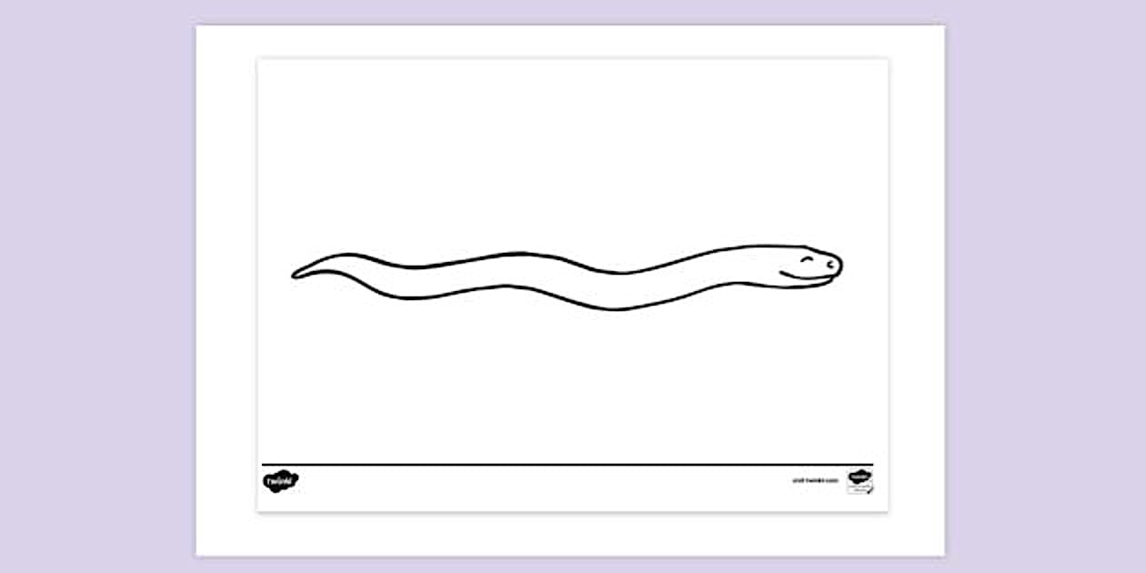 Editable Plain Snake Colouring Sheet (l'enseignant a fait)