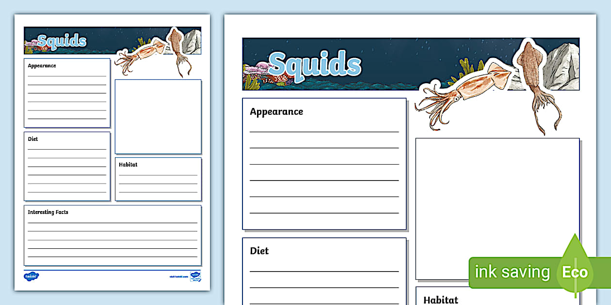 Squids Fact File Template (teacher made) - Twinkl