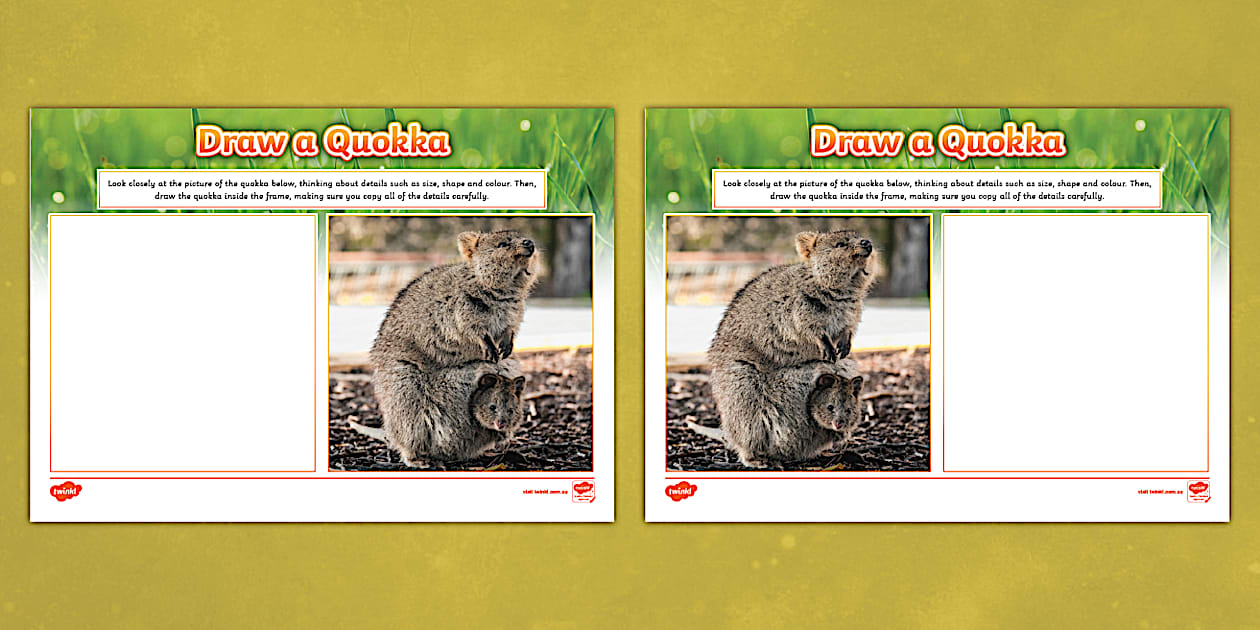 Draw a Quokka Worksheet (l'enseignant a fait) - Twinkl