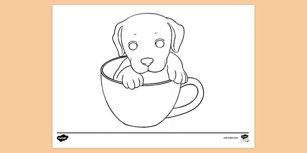 Cute Animal Colouring Sheet | Colouring Sheets - Twinkl