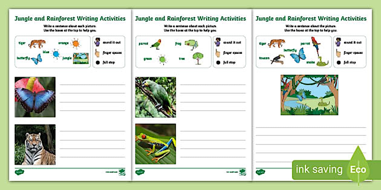 Jungle and Rainforest Early Writing Activities - Twinkl