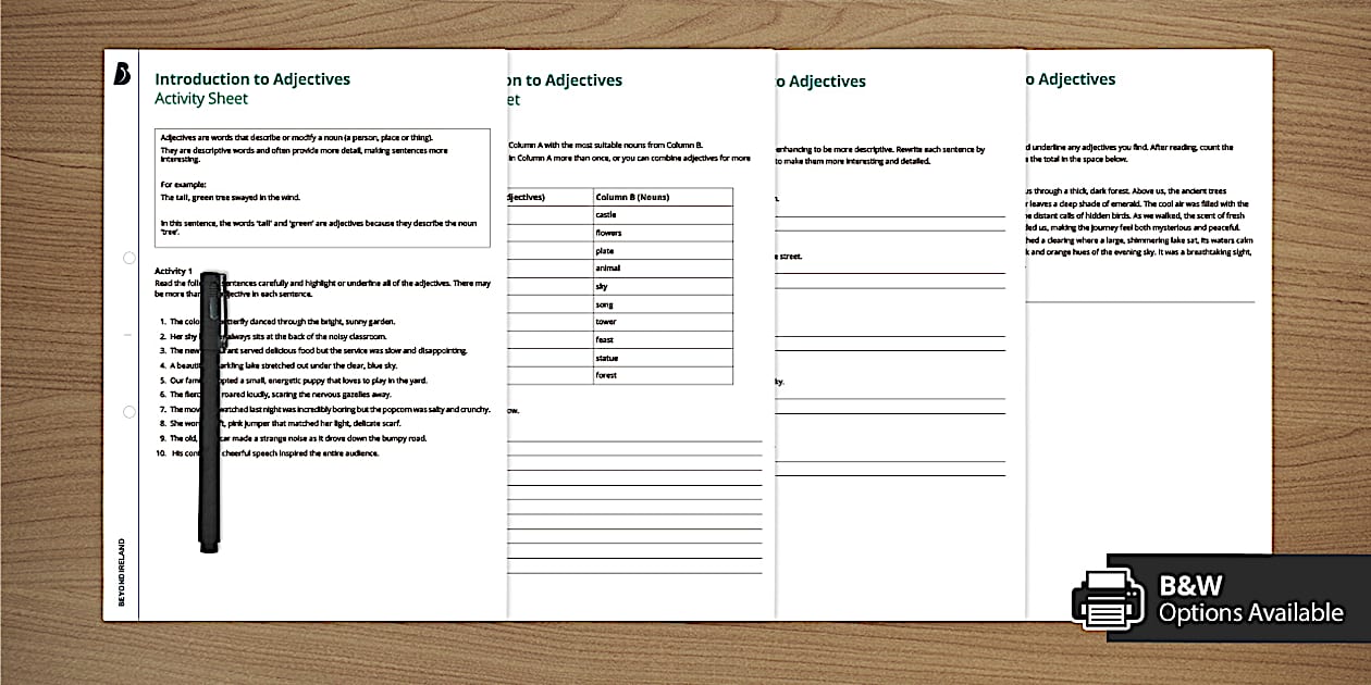 Introduction to Adjectives