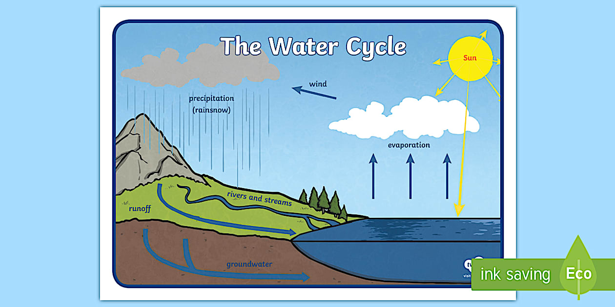 Simple Water Cycle Display Poster (teacher made) - Twinkl