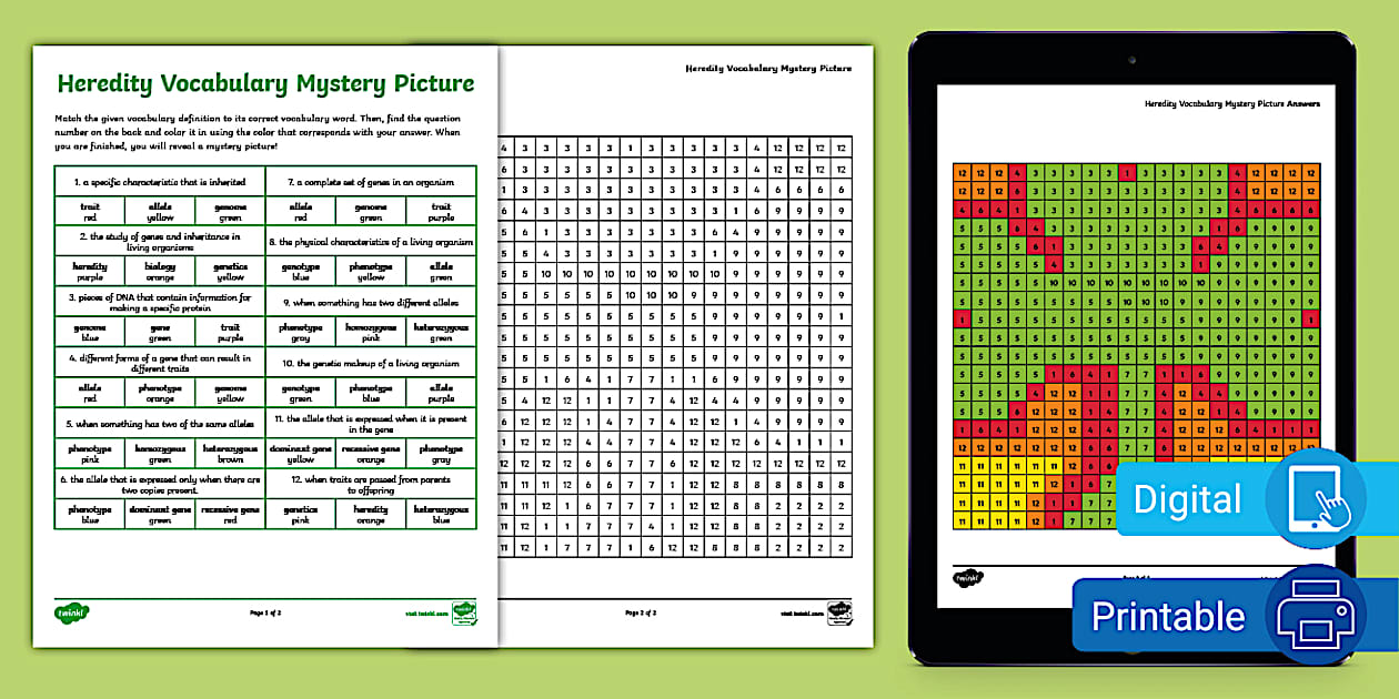 Eighth Grade Heredity Vocabulary Mystery Picture Shamrock Worksheet