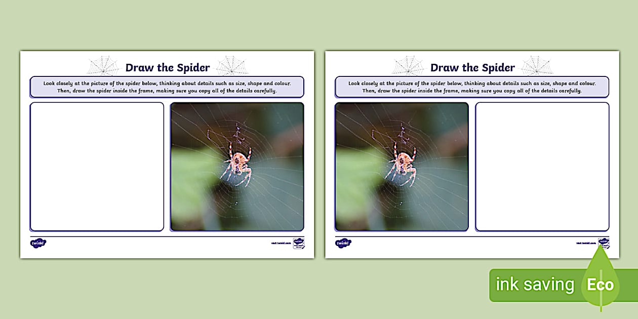 Draw the Spider Art Activity, How to draw a spider - Twinkl