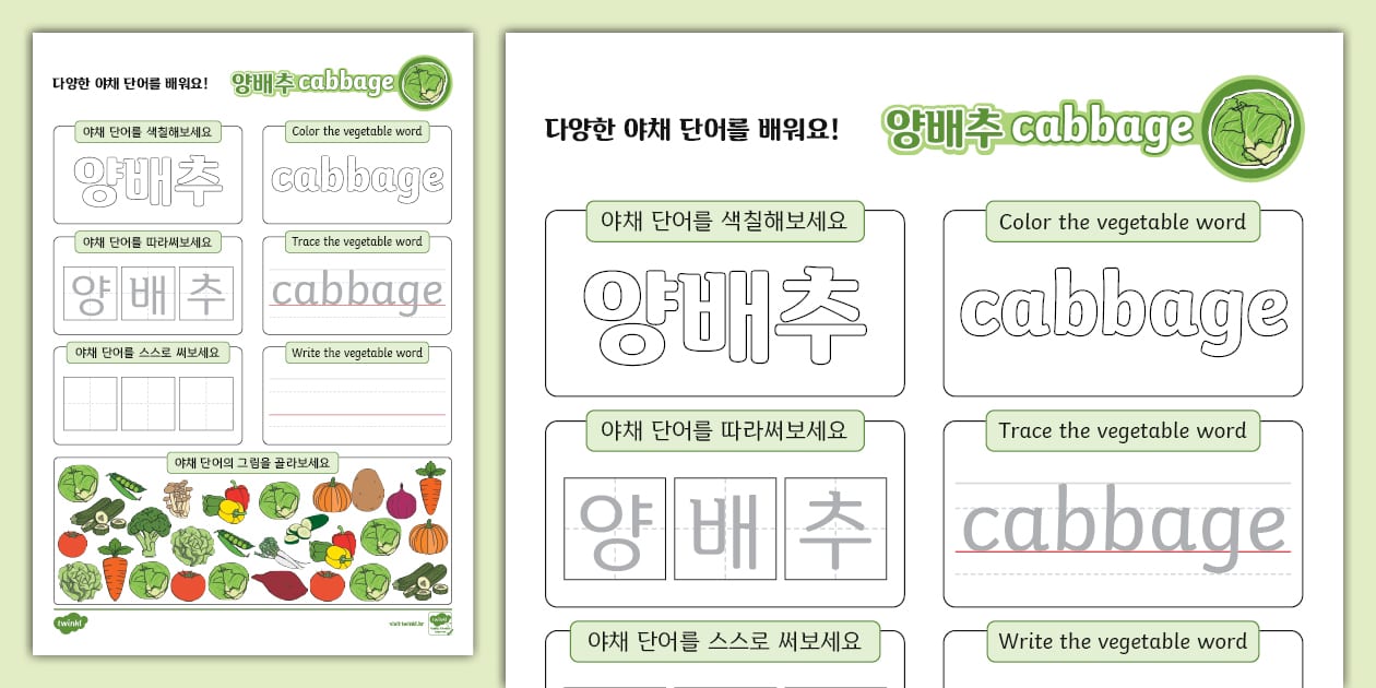 한글과 영어 동시에 완성하기 | 야채 | 양배추 | Vetetables Cabbage Tracing Activity (Korean