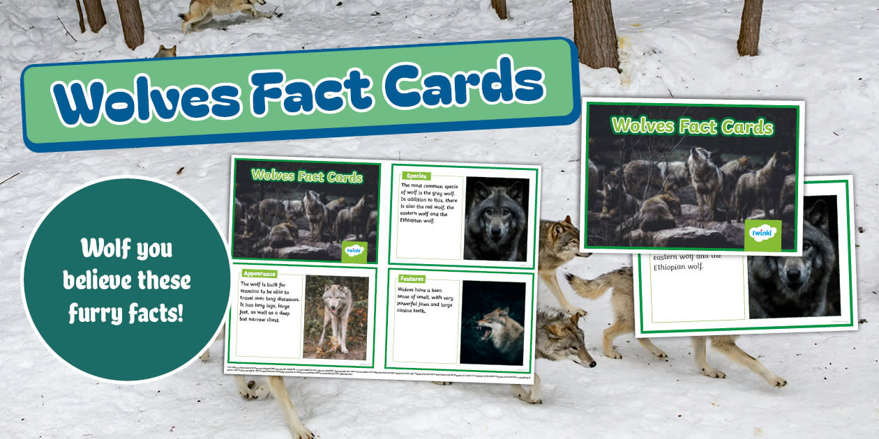 Wolves Fact Cards - Twinkl