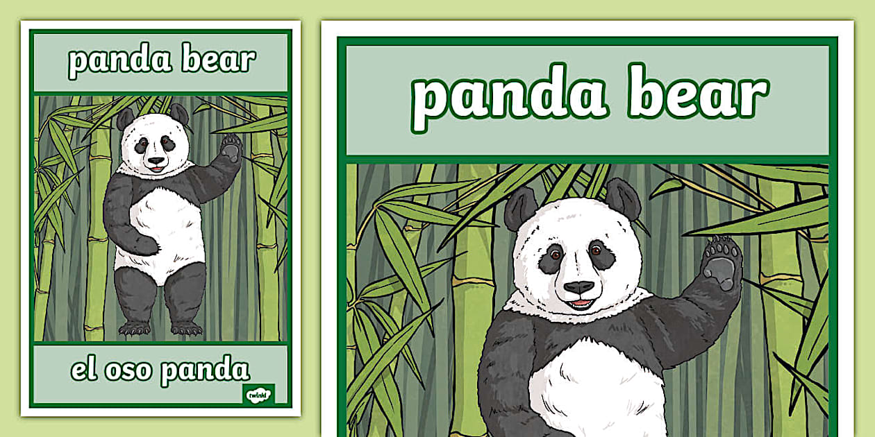 Panda in Spanish Display Poster (teacher made) - Twinkl
