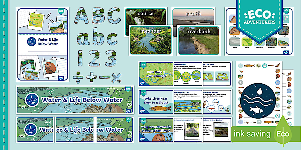 Year 2 Water & Life Below Water: Display Pack (teacher made)