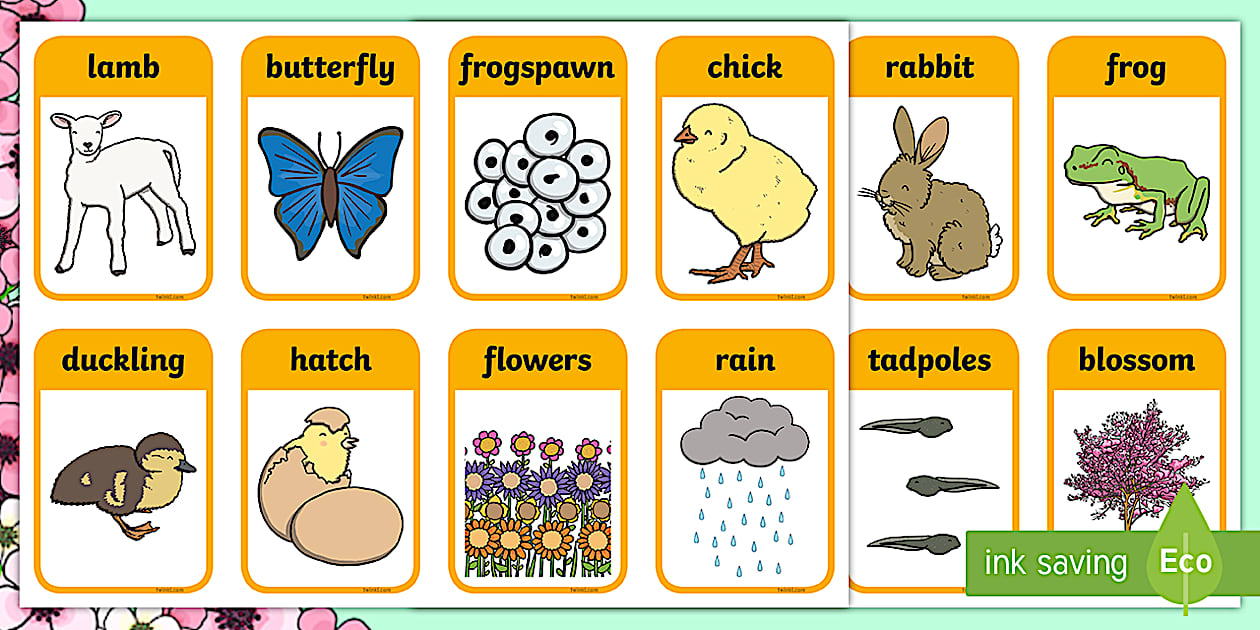 Words Associated with Spring | Flashcards | School Resource