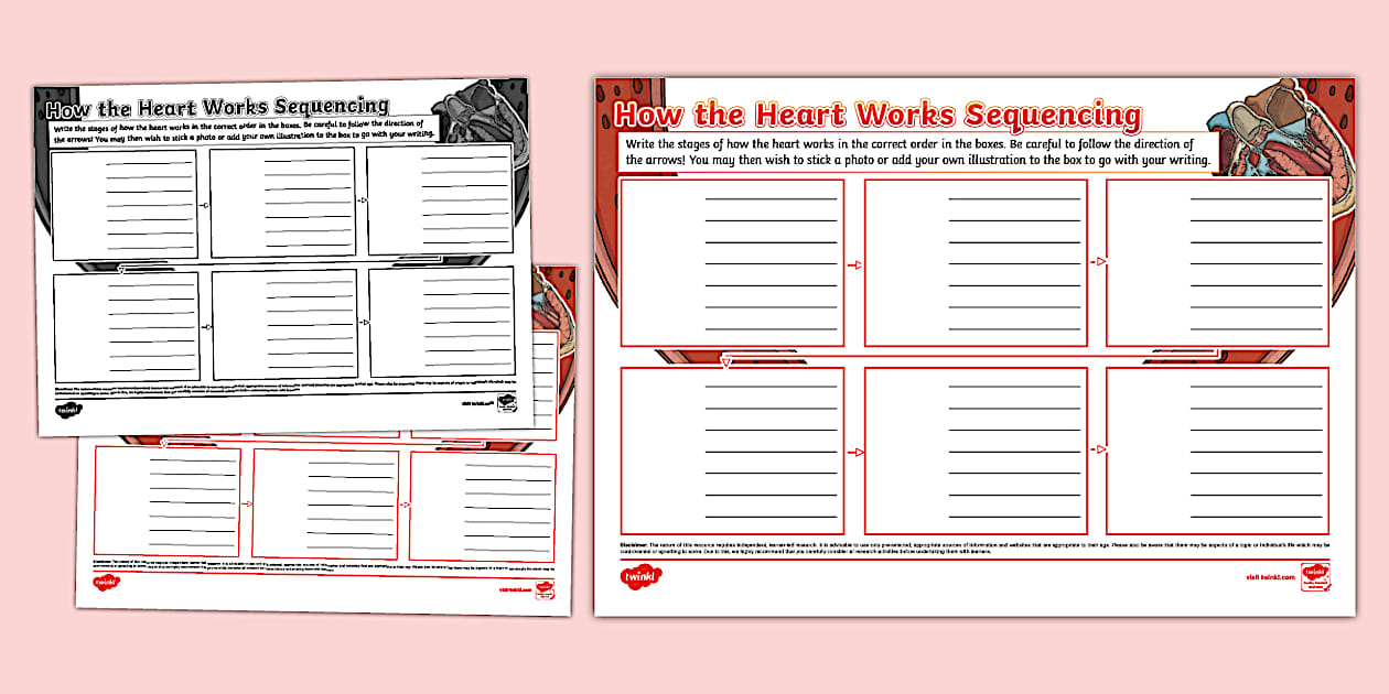 How the Heart Works Sequencing Mind Map (teacher made)