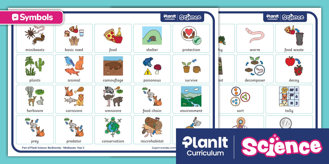 Twinkl Symbols: PlanIt Science: Minibeasts: Year 2: AAC Mat