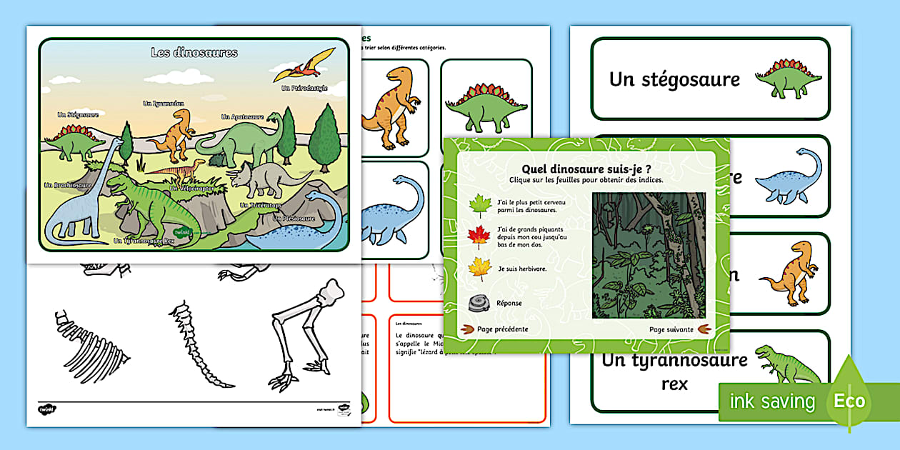 Pack de ressources : Les dinosaures (teacher made) - Twinkl