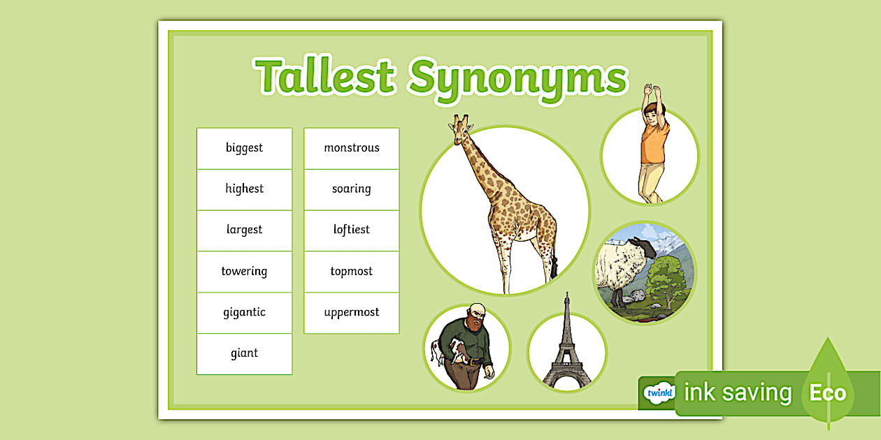 Tallest Synonyms Word Mat (teacher made) - Twinkl