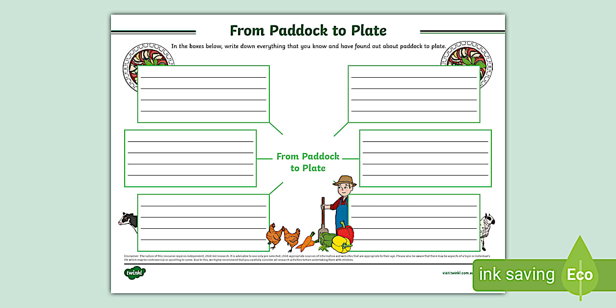 From Paddock to Plate Mind Map (teacher made) - Twinkl