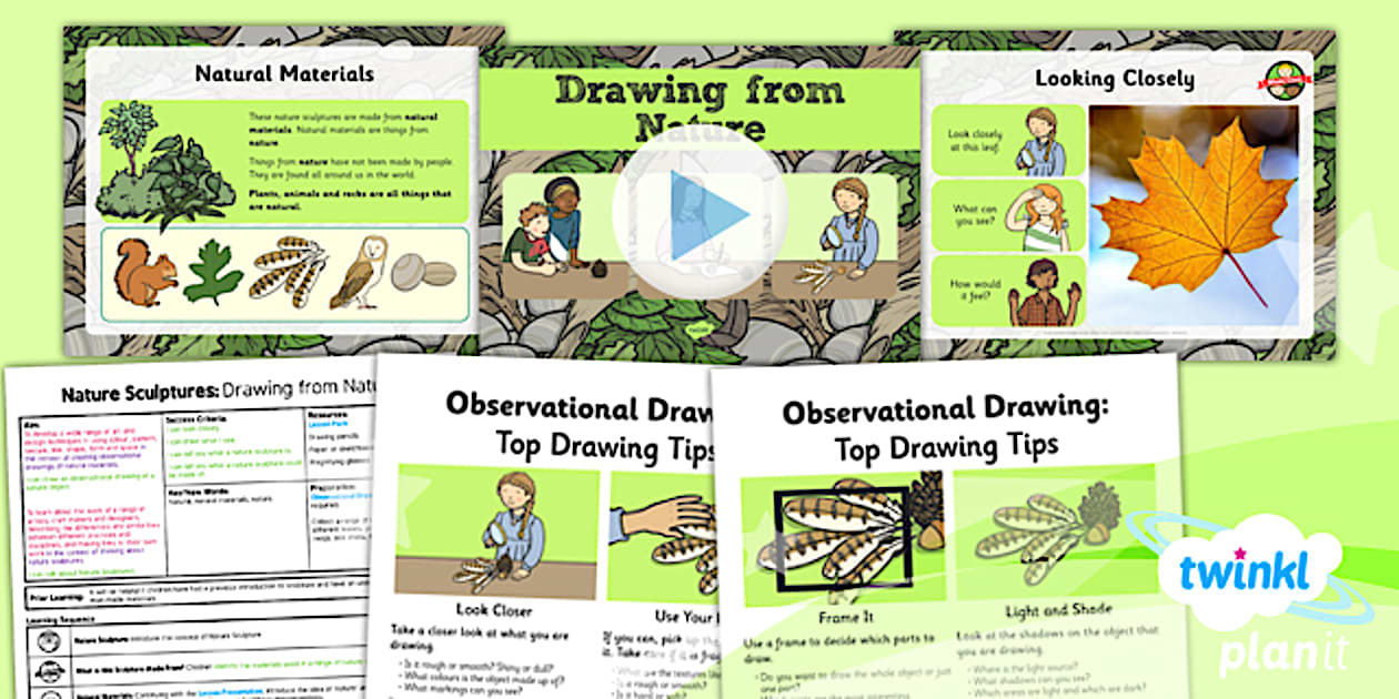 KS1: Nature Sculptures: Drawing from Nature: Art Lesson 2