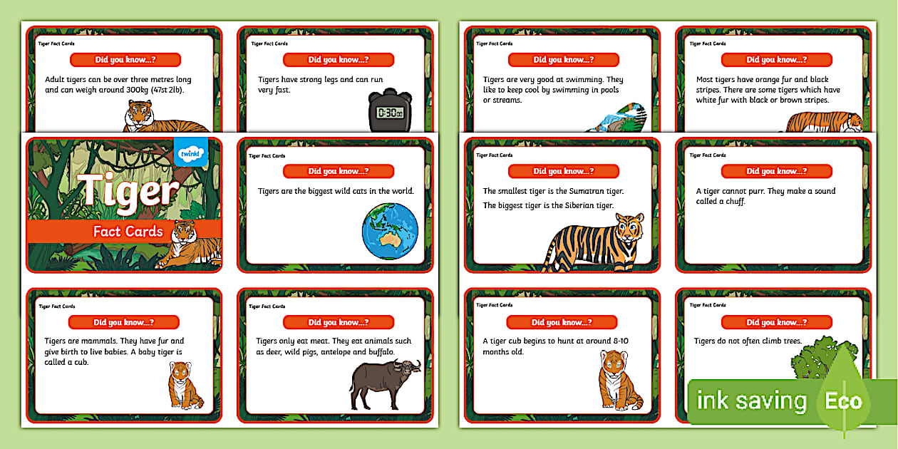 Tiger Fact Cards For Home And Classroom Learning - Twinkl