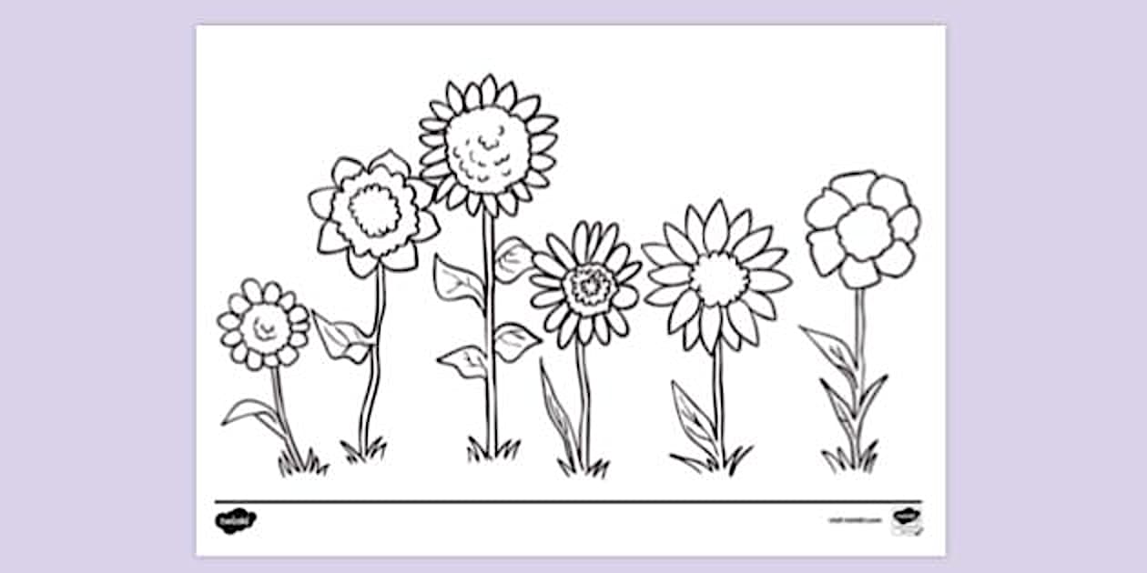 Flower Colouring Page for Kids to Print | Colouring Sheets