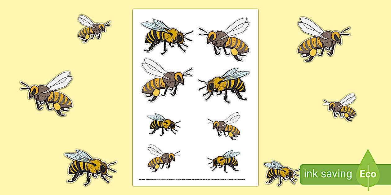Honey Bee Display Cut-Outs (teacher made) - Twinkl