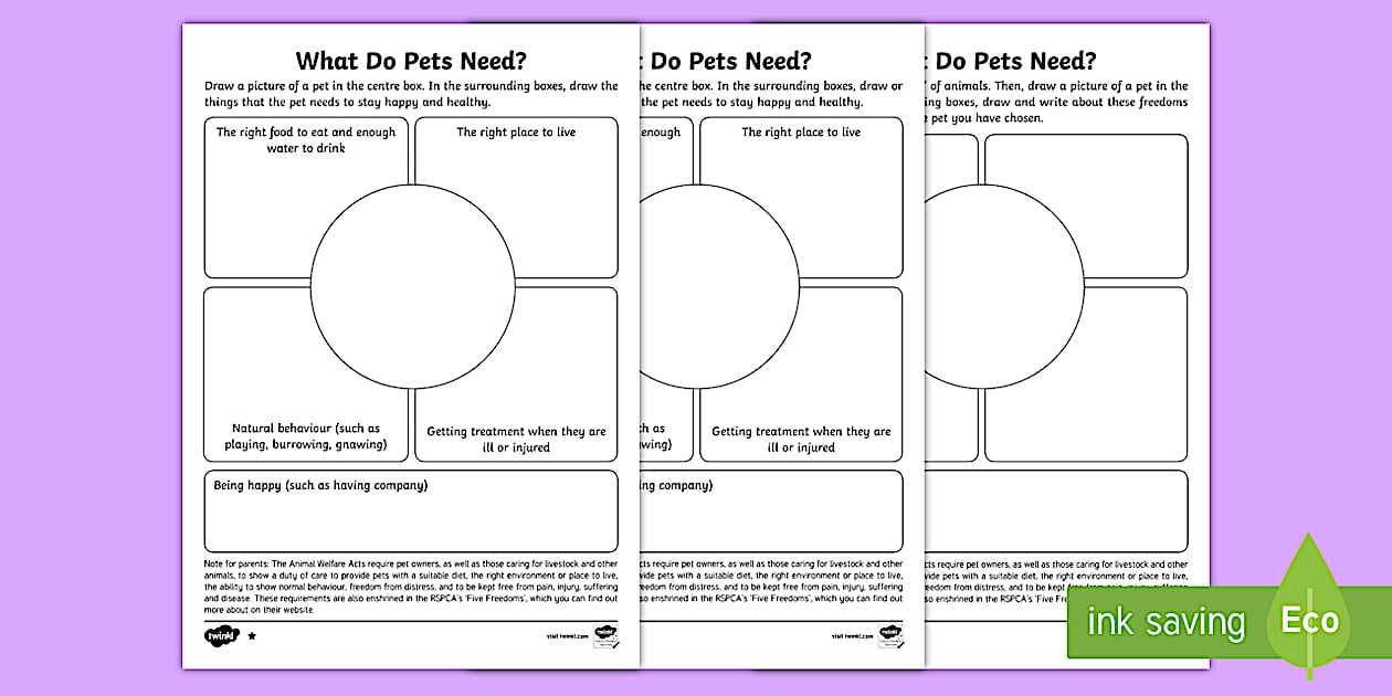 What Do Pets Need? Fact and Activity Sheet - Twinkl
