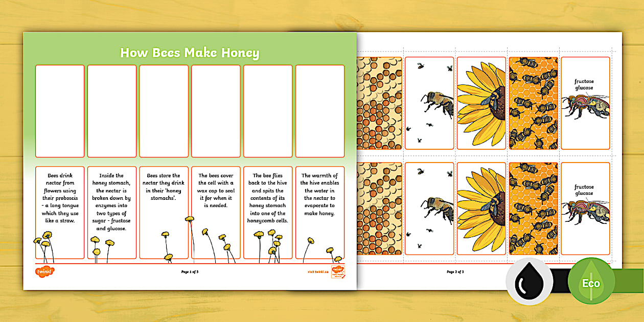 How Bees Make Honey Worksheet (Teacher-Made) - Twinkl