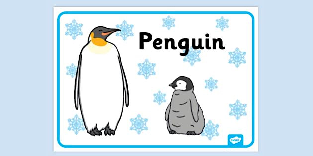 Penguins Poster for Kids | Primary Resources (teacher made)