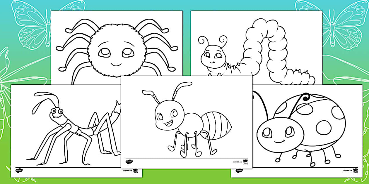 Hojas de colorear: Bichos (creat de profesori) - Twinkl