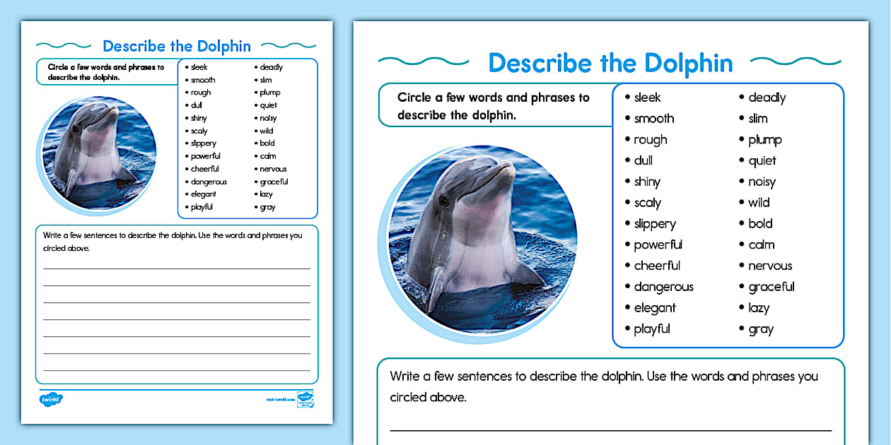 Describe the Dolphin Activity (Teacher-Made) - Twinkl