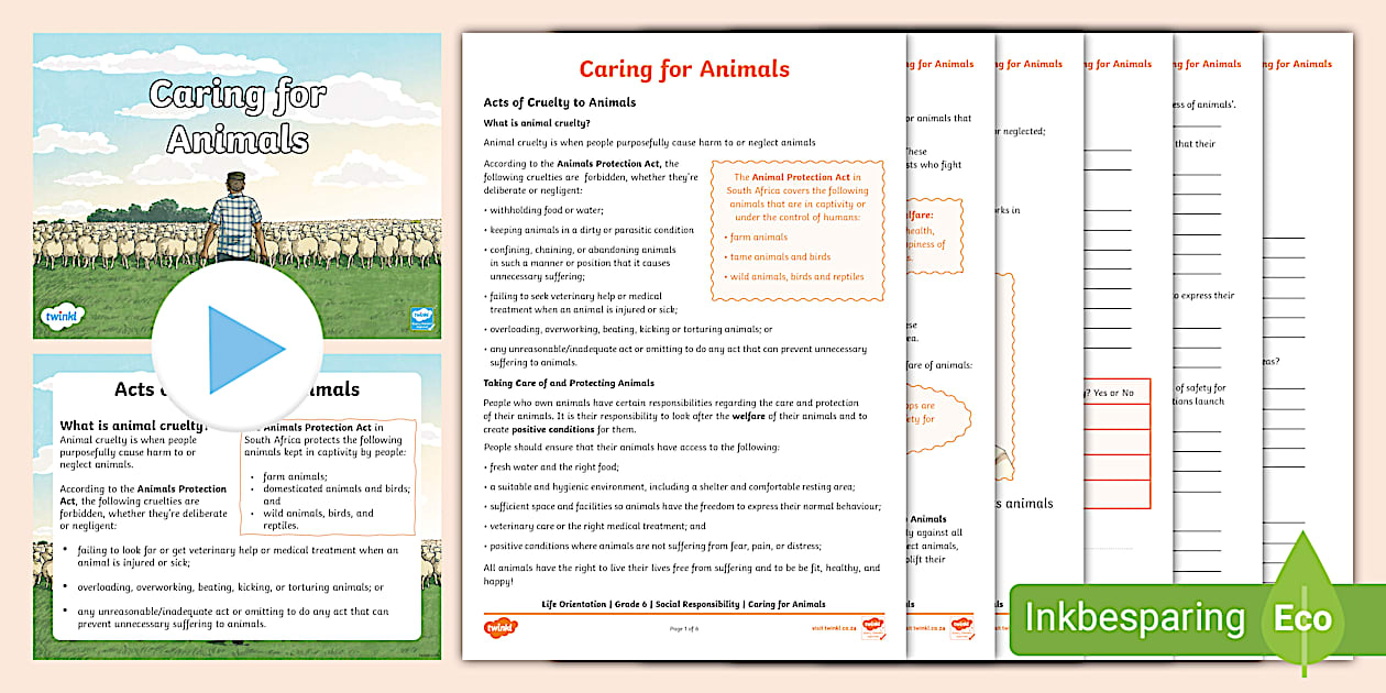 Caring for Animals Powerpoint & Activity (teacher made)